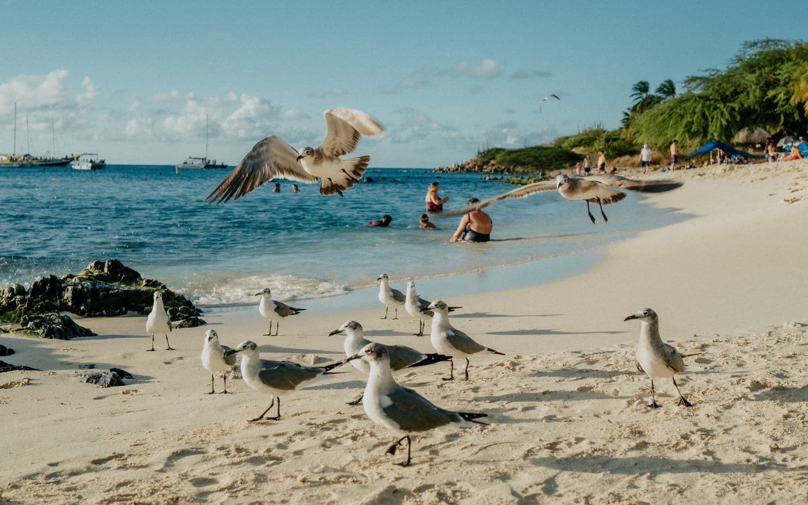 “Mi promesa a Aruba”: un viaje al futuro del turismo - Forbes Chile